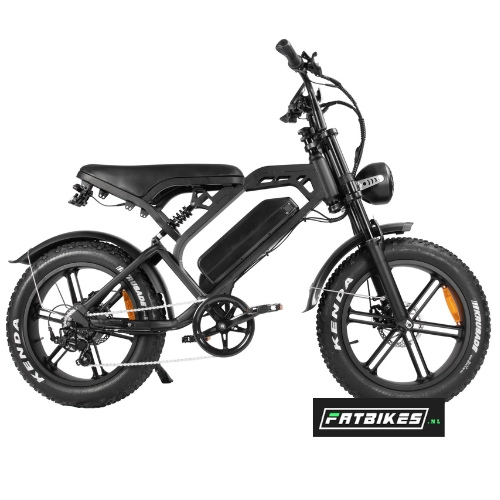 V20 2.0 Pro 2024 | Elektrisches Fatbike | 250W | Schwarz - fatbikes.de